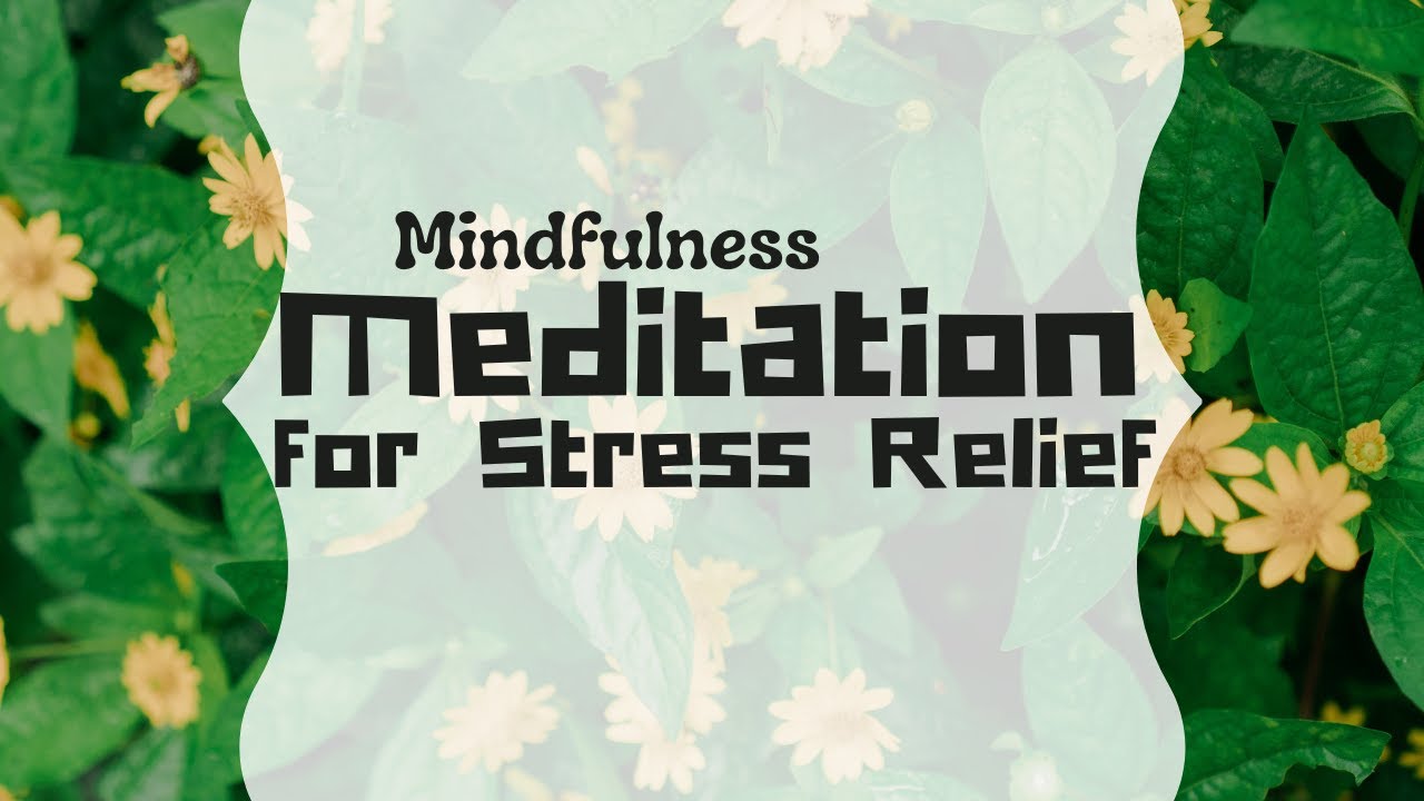 Mindfulness Meditation for Stress Relief - YouTube