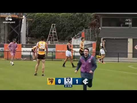 Box Hill Takes On Carlton   VFL Live