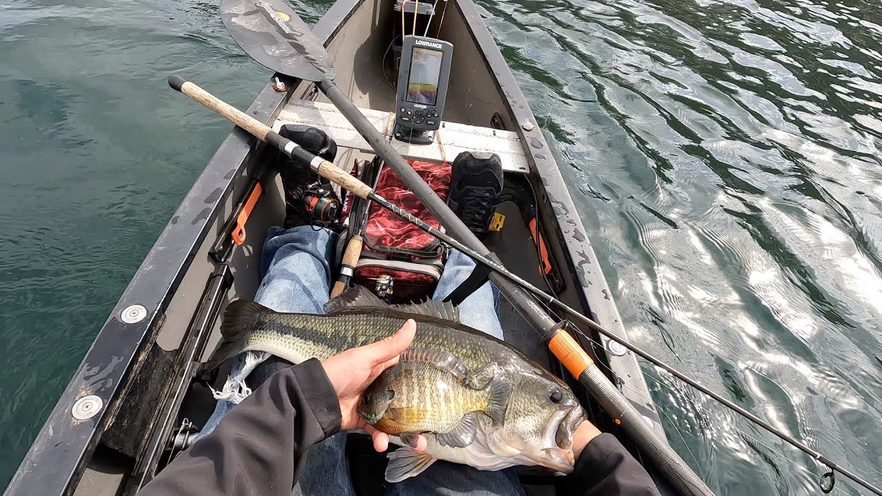 7lb Largemouth on Live Sunfish! - YouTube