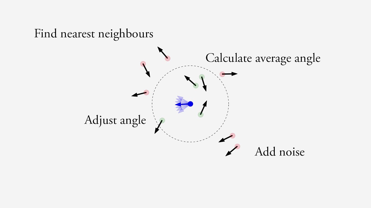 Active Matter: Modelling swarming behaviour using the Vicsek model - YouTube