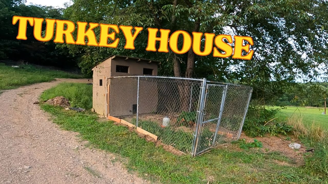 New Turkey Pen & Goat Climbing - YouTube