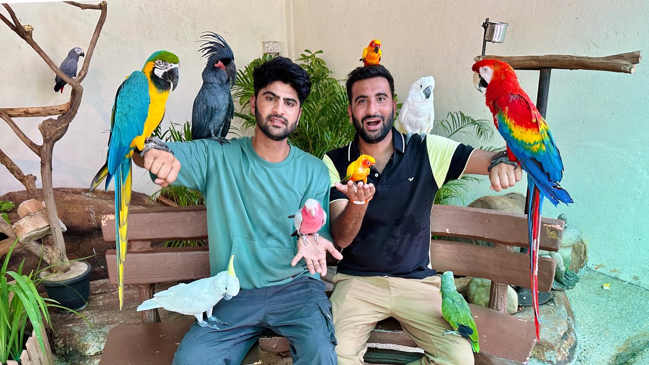 The World’s Largest Birds Aviary in Malaysia Waaoo😍 - YouTube