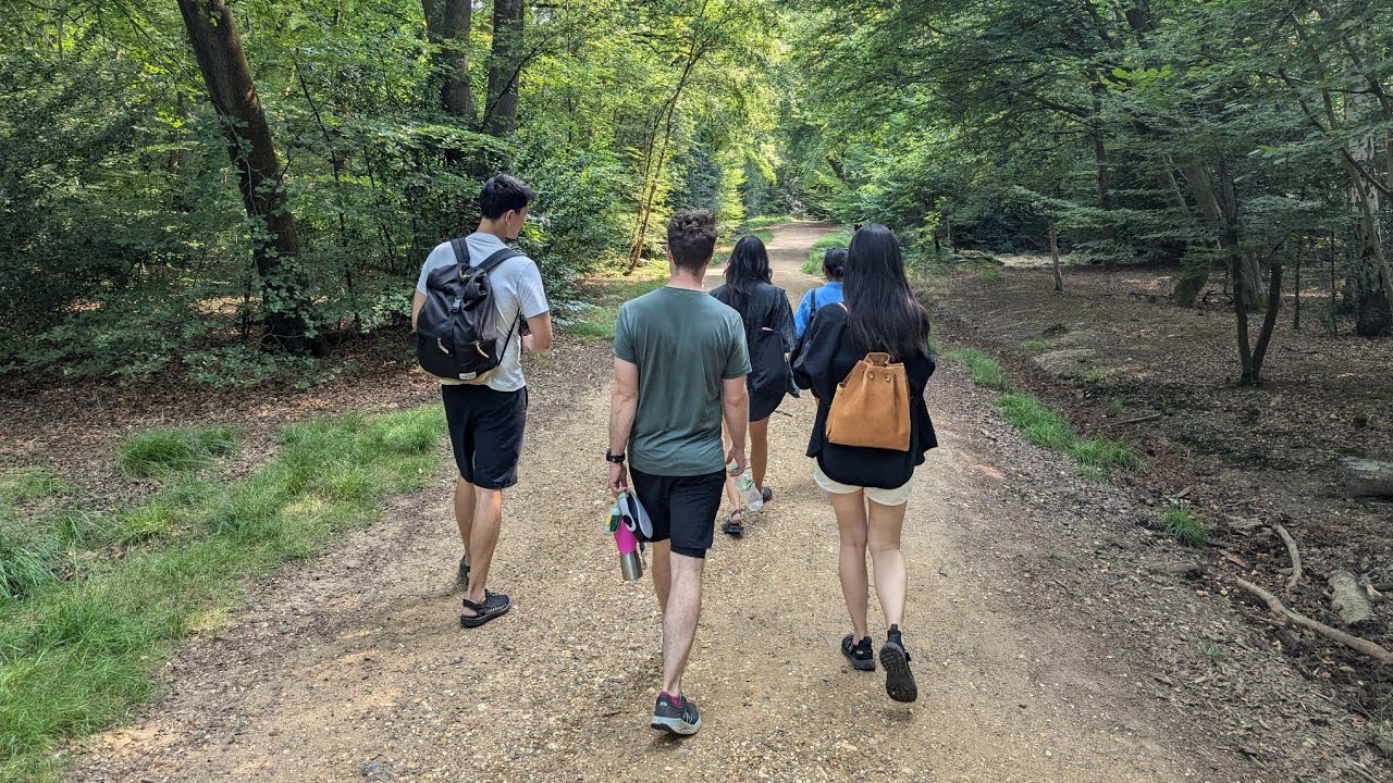 Escaping London for Epping Forest - a peaceful summers walk - YouTube
