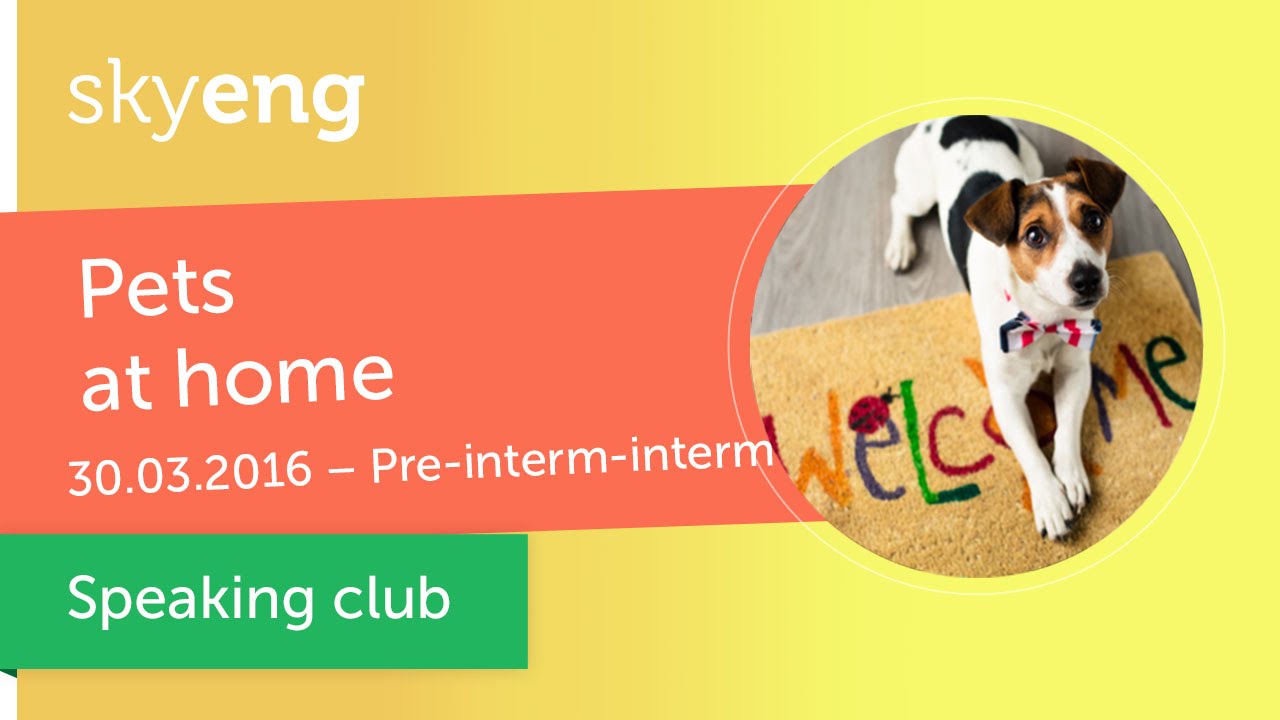 Разговорный клуб “Pets” (Pre-Intermediate, Intermediate) - YouTube