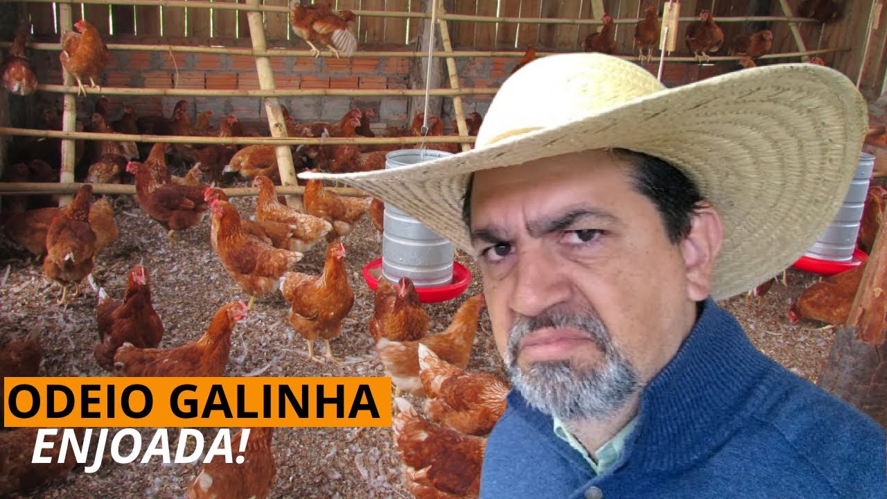 Tião Caipira EP.02 - Colocando a Proza em dia, Briga com as Galinha e ...