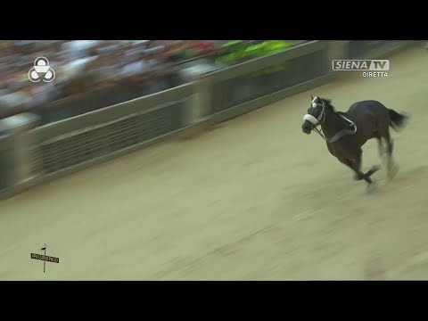 PALIO 16 AGOSTO 2023 OCA