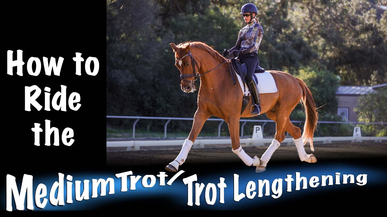 How to Ride the Medium Trot/ Trot Lengthening - YouTube