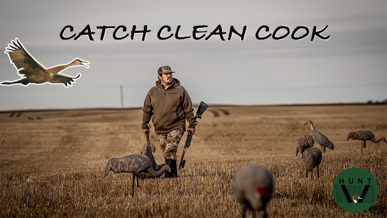 CATCH CLEAN COOK: SANDHILL CRANE - YouTube