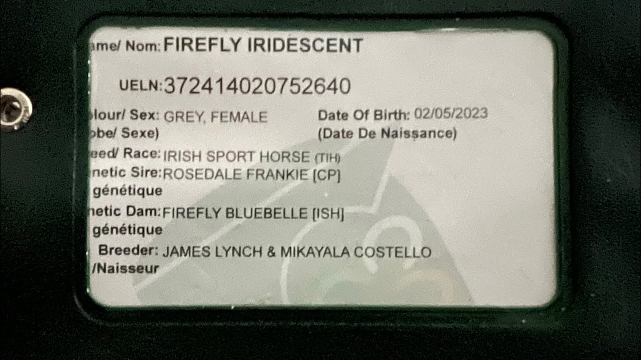 Firefly Iridescent - YouTube