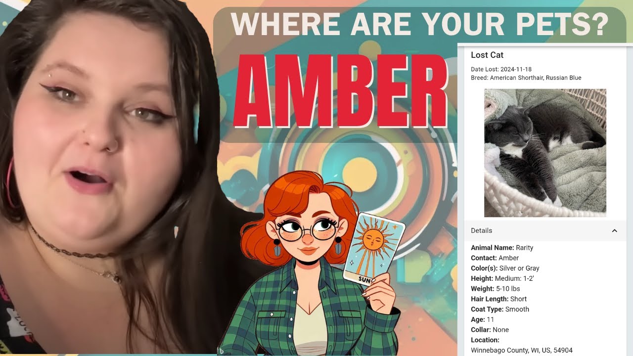 What Happened to Amberlynn Reid's Missing Cat Rarity? - YouTube