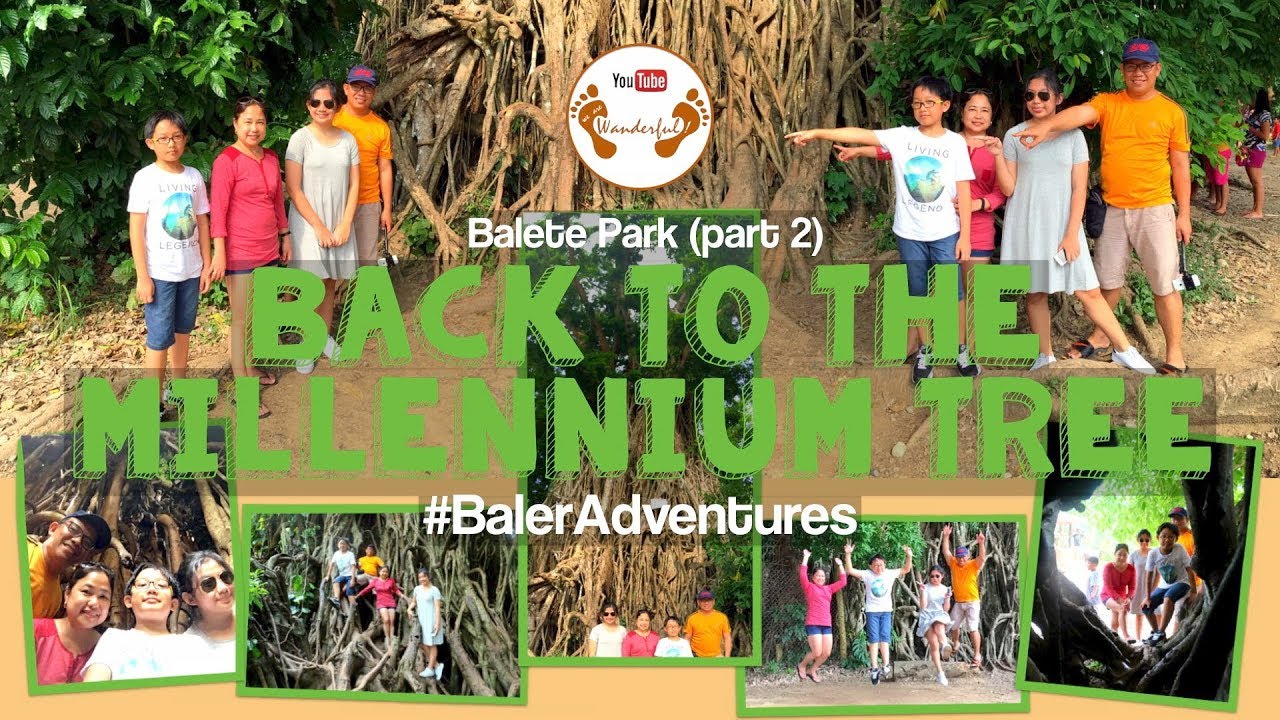 Back to the Millennium Tree at Balete Park | Maria Aurora, Aurora ...