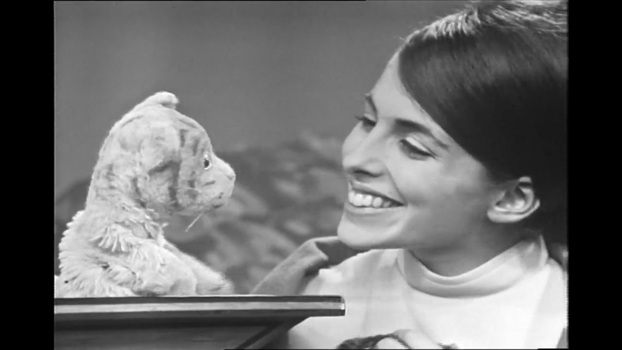 Mister Rogers' Neighborhood | Season 01 | Episode 42, 43, 44 - YouTube