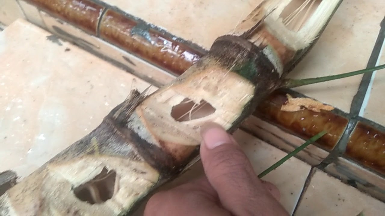 Bambu bulu perindu - YouTube
