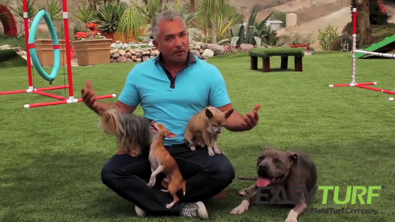 Easy Turf Promotion Video - YouTube