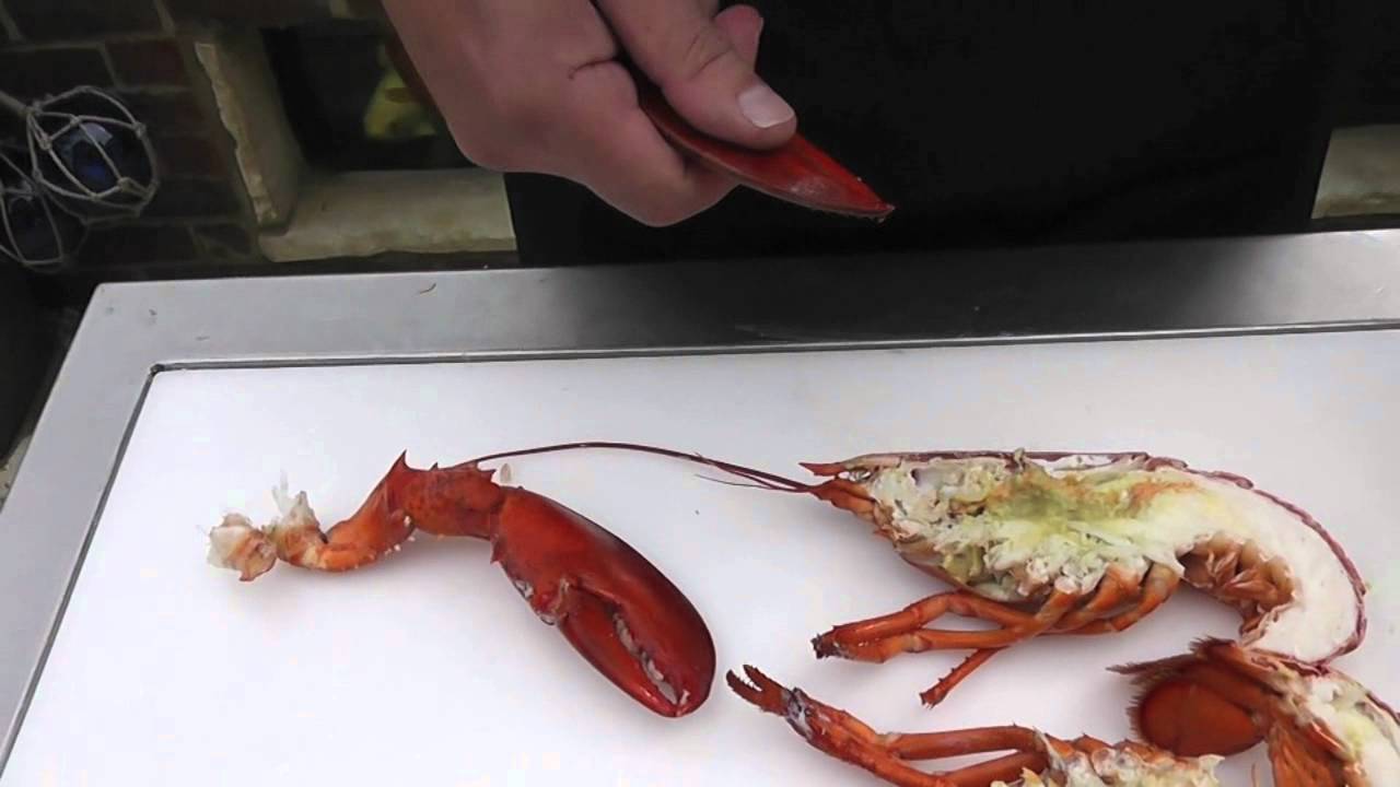 Passionate About Fish - How to Prepare a Cooked Lobster - YouTube