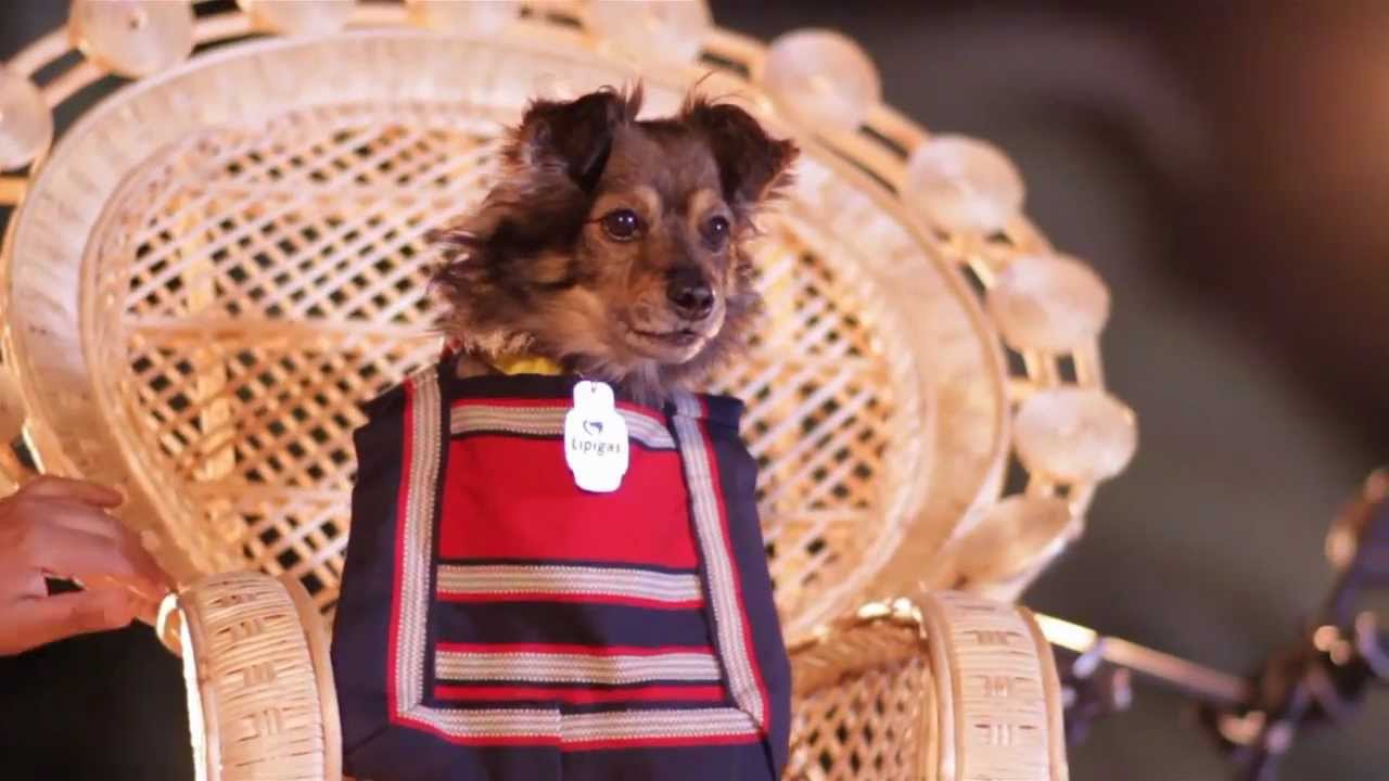El Perro Lipigas - ¿Quieren Cueca? [Making of] - YouTube