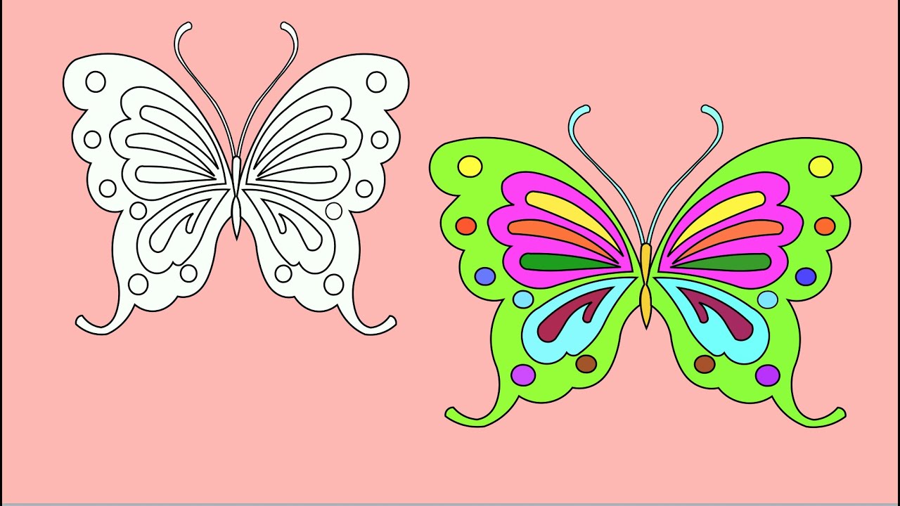 Butterfly animation - YouTube