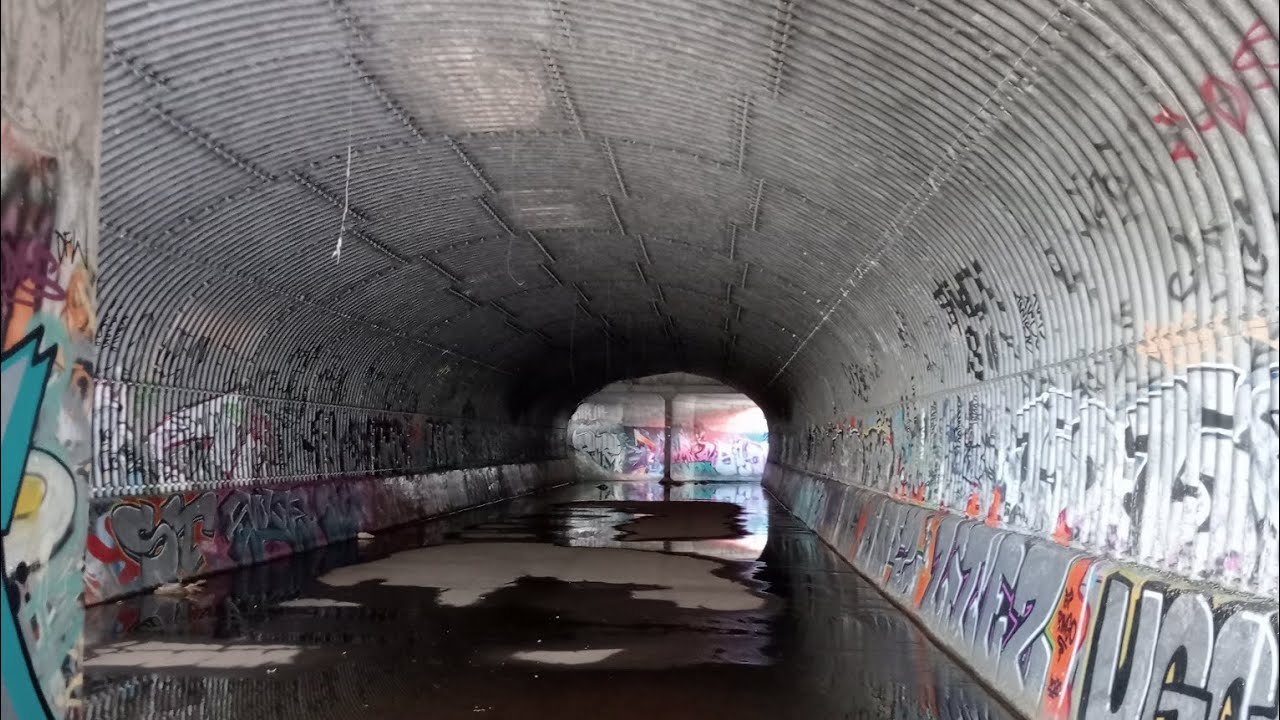 ACCOMMODATOR DRAIN'S - YouTube