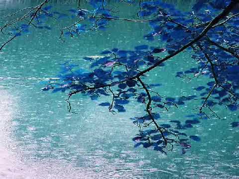 Ferdi TAYFUR - o varken