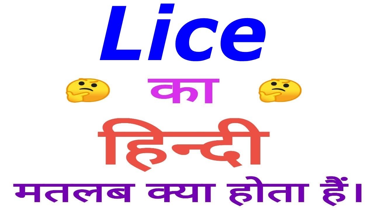 Lice Meaning In Hindi Lice Ka Matlab Kya Hota Hai Lice In Hindi
