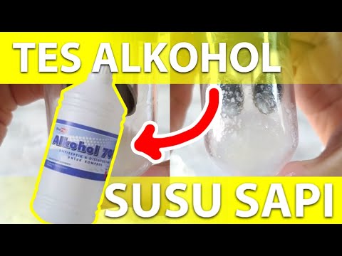 Tes Alkohol pada Susu Sapi - YouTube