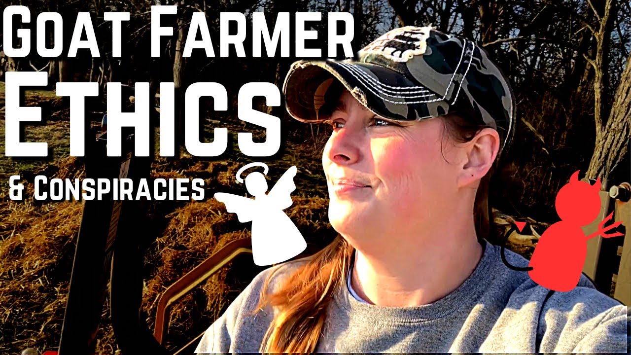 Raising Dairy Goats is a COMMITMENT! & Conspiracy Theory - YouTube