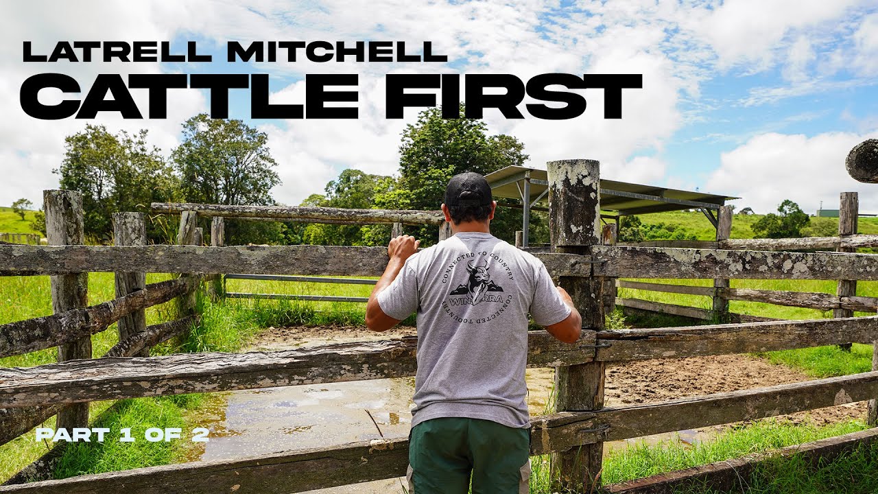 Latrell Mitchell - Cattle First (Part 1) - YouTube