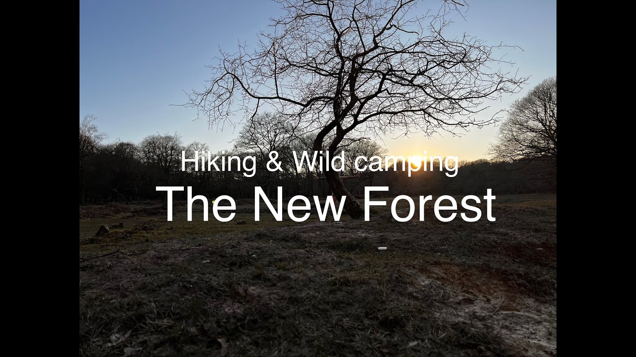 Lets discover a small part of The New Forest National park. - YouTube