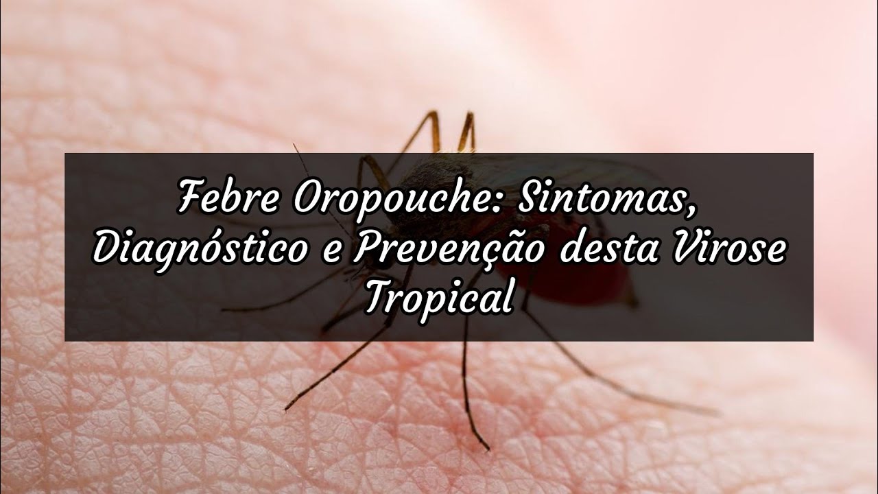 Febre Oropouche: Sintomas, Diagnóstico e Prevenção desta Virose ...