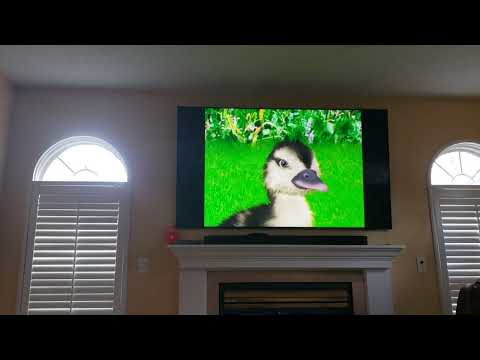 MAY 2006 COMMERCIALS-LITTLE EINSTEINS-DUCK DUCK JUNE - YouTube