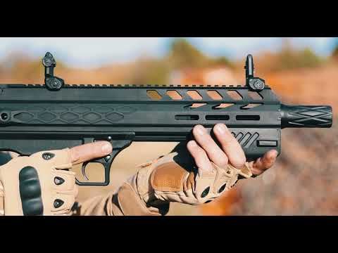 AKER Defence, WXR-01 DS,  Double System