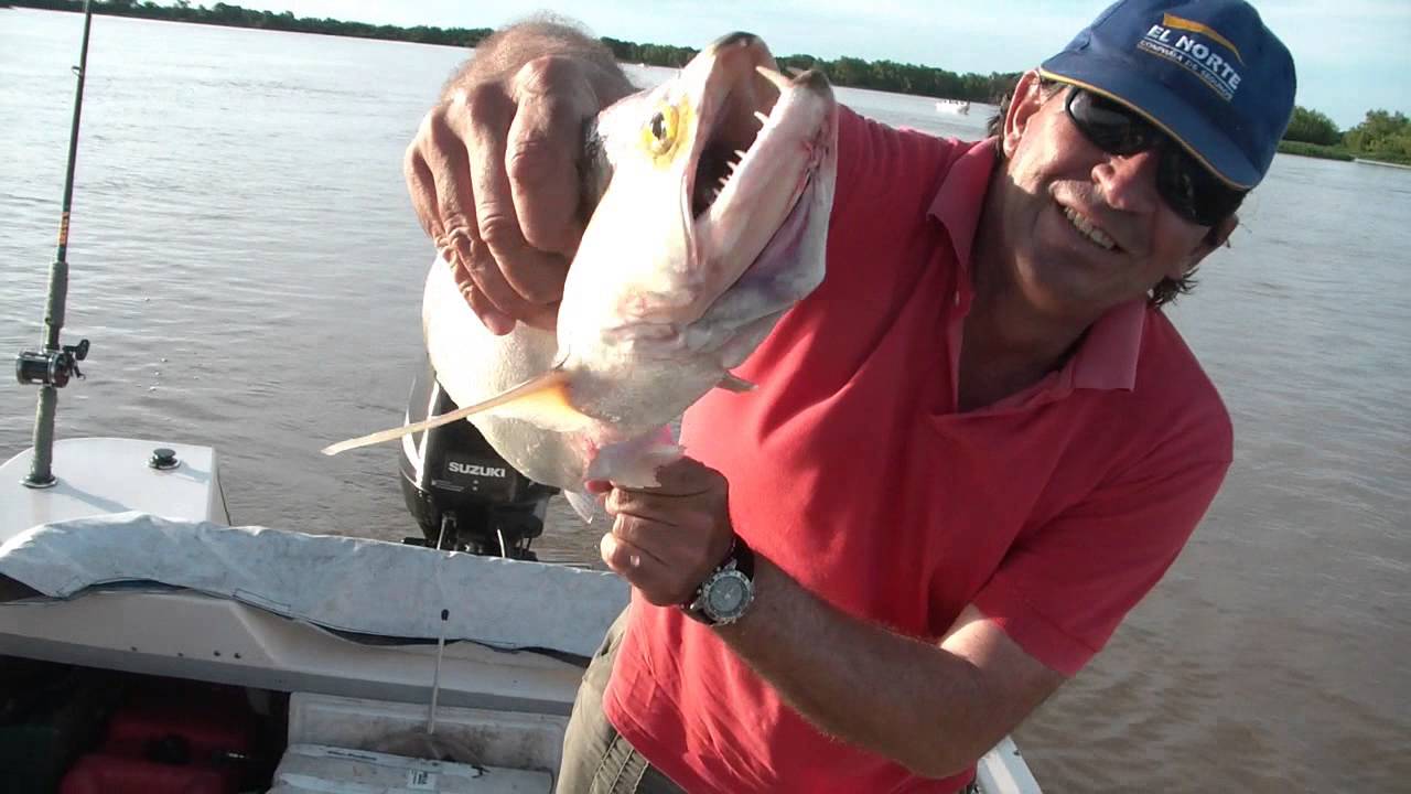 UN PIRA YAGUA Y CASI UN PATI - YouTube