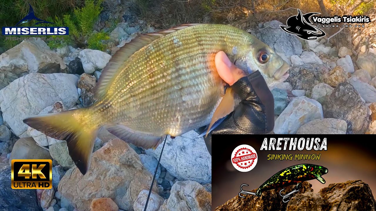 Λαβράκι VS Αρέθουσα Minnow!!! - YouTube