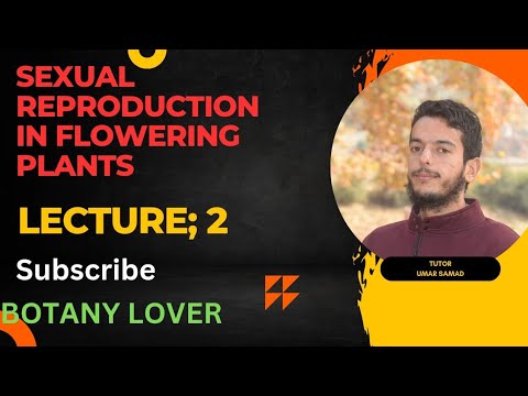 Structure of Stamen: The Male Reproductive Part of Flower - YouTube