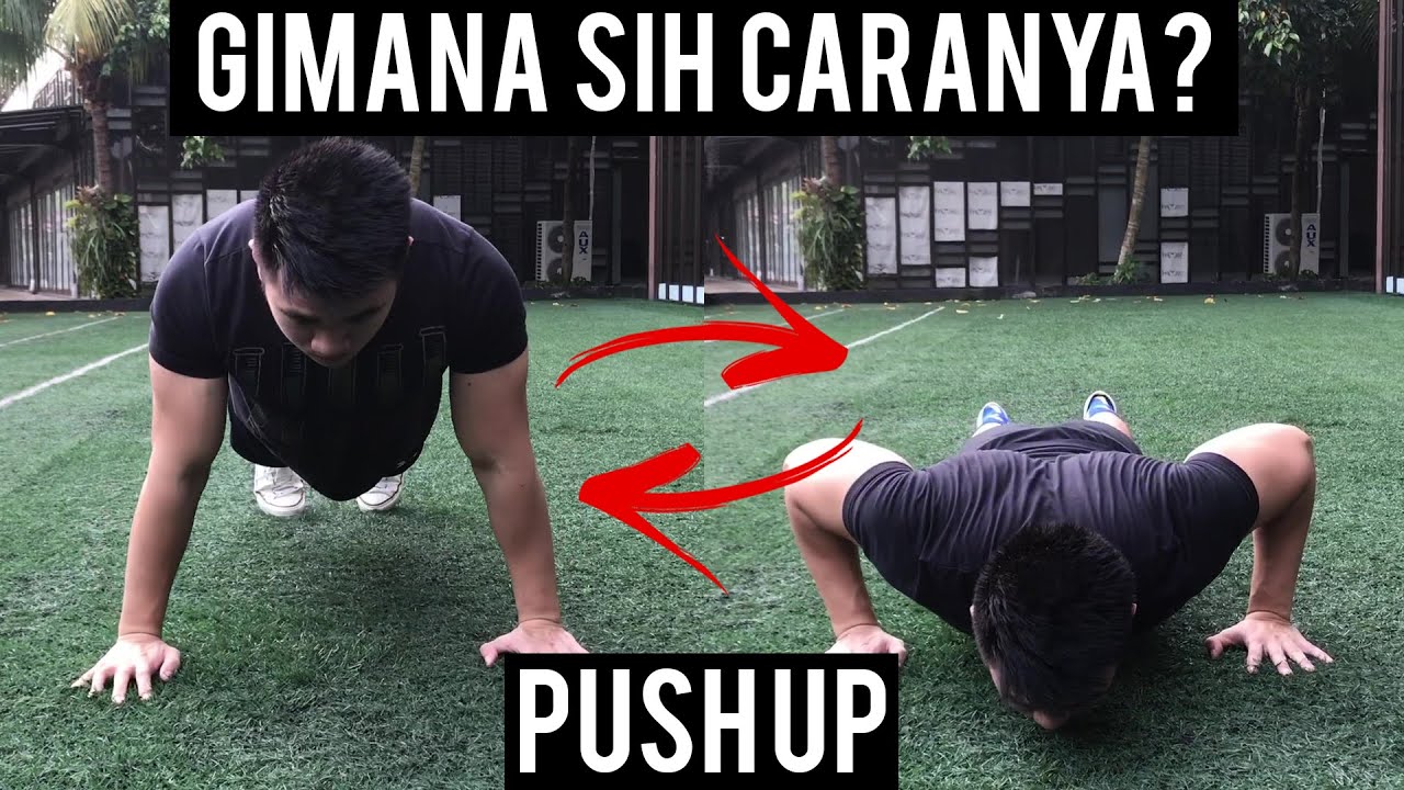 1 MENIT BELAJAR CARA PUSH UP YANG BENAR | TUTORIAL BUAT PEMULA | PHS ...