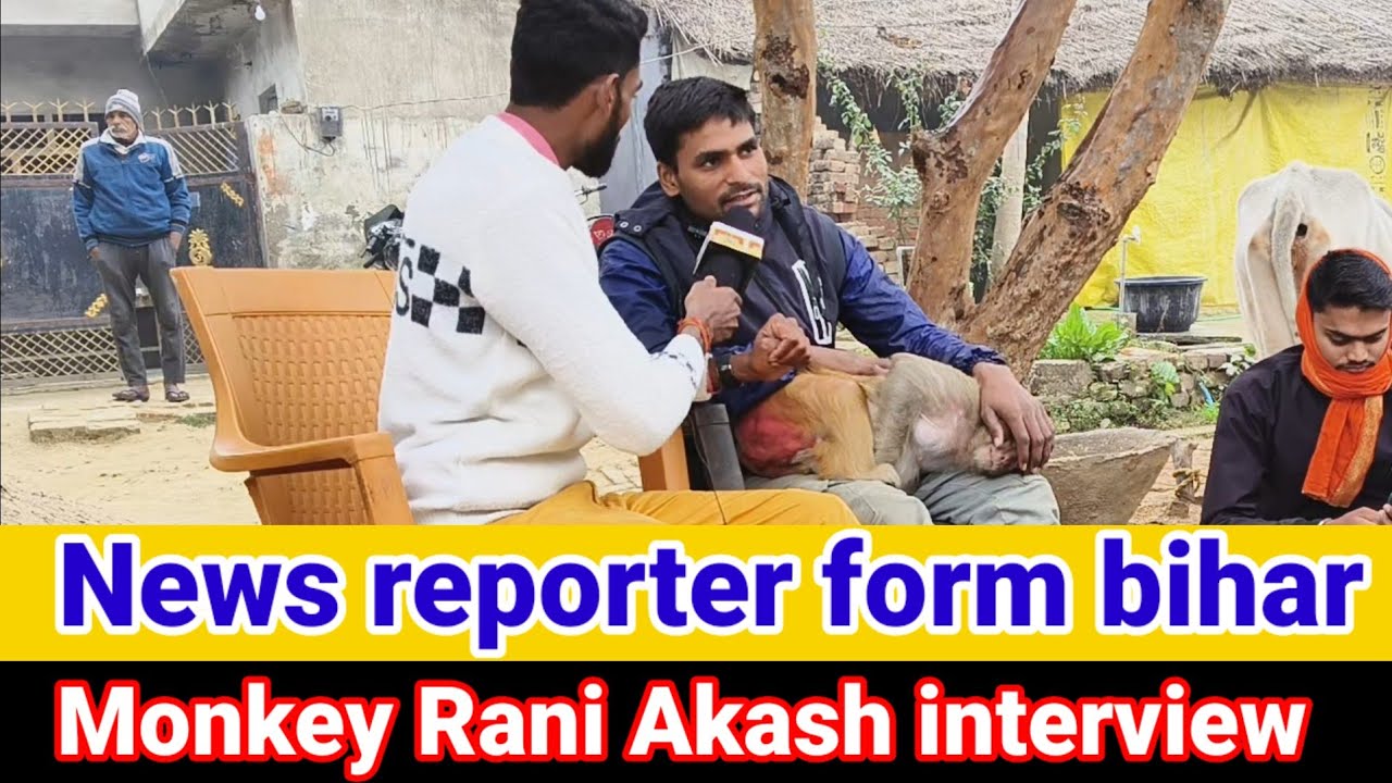 News reporter from Bihar ।। Akash Monkey Rani interview video ...