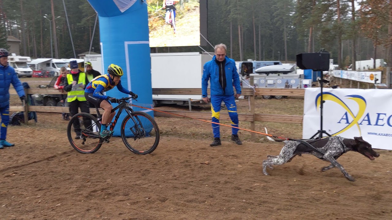 Bikejoring start - Hanna Bergman - YouTube