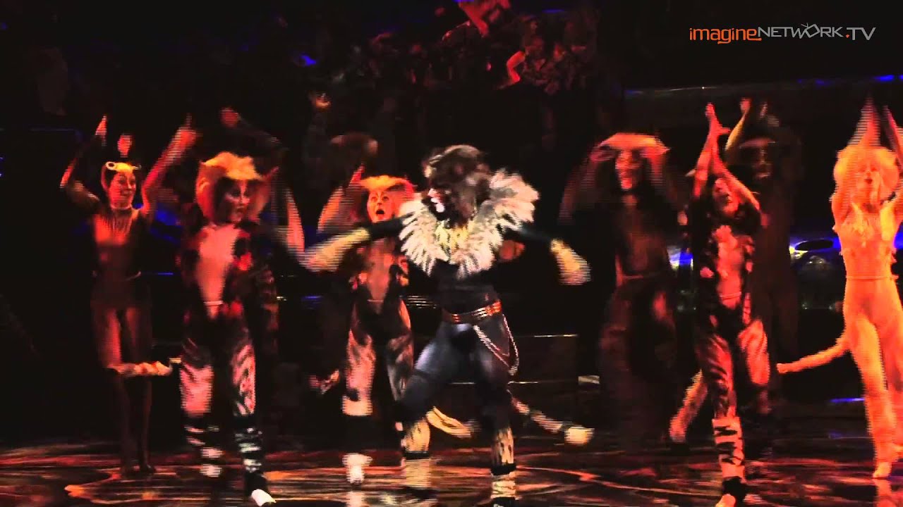 Cats - The Musical: The Rum Tum Tugger - YouTube
