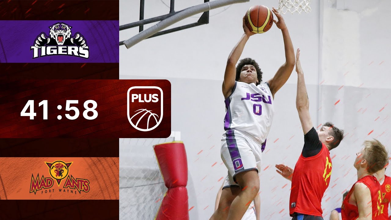 Tigers vs Ants - YouTube