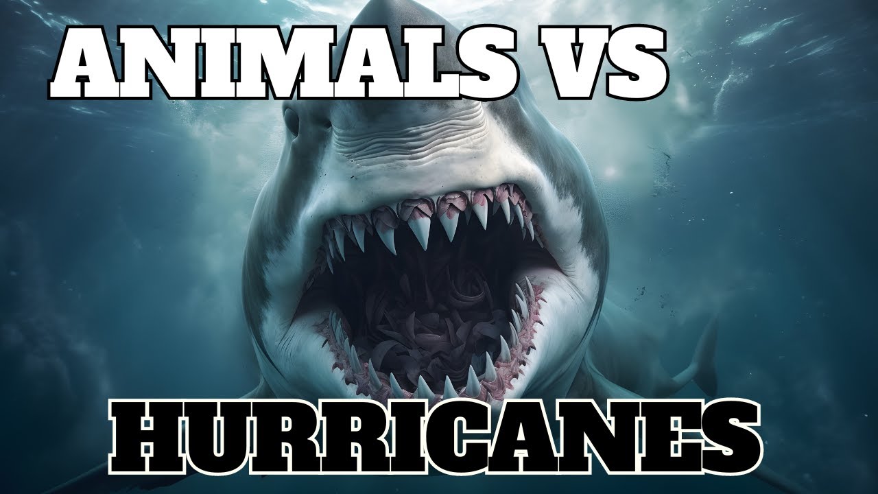 7 Extraordinary Animals That Survive Hurricanes 🌪️ - YouTube