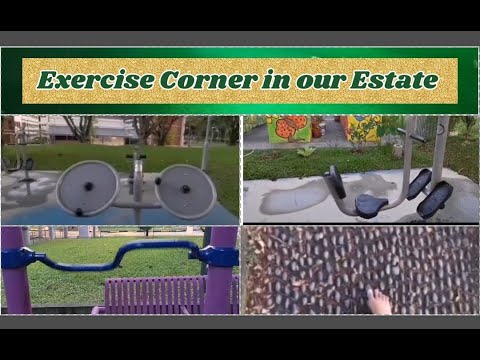 Exercise Corners In Our Estate | COOL KIDS SG - YouTube