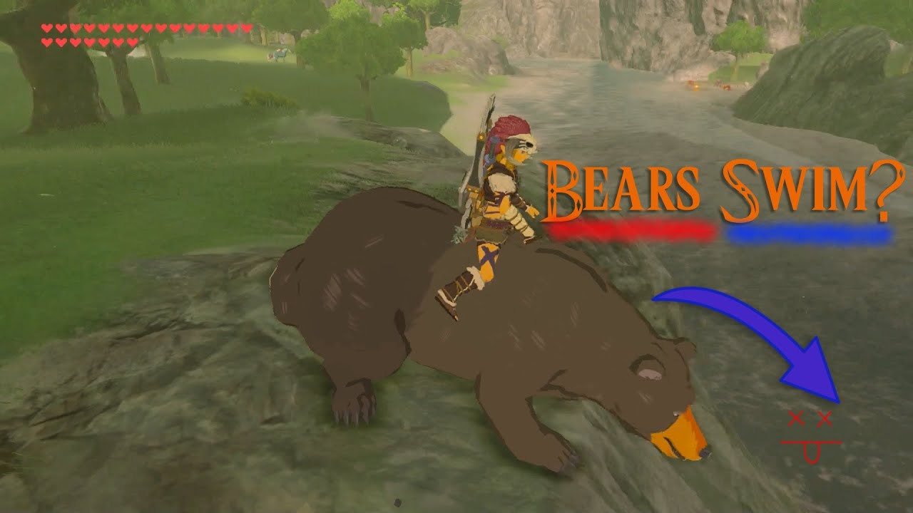 Bear Can Swim? | Zelda BotW - YouTube