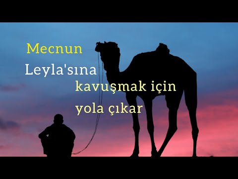 MECNUN'UN LEYLASINA KAVUŞMA İSTEĞİ