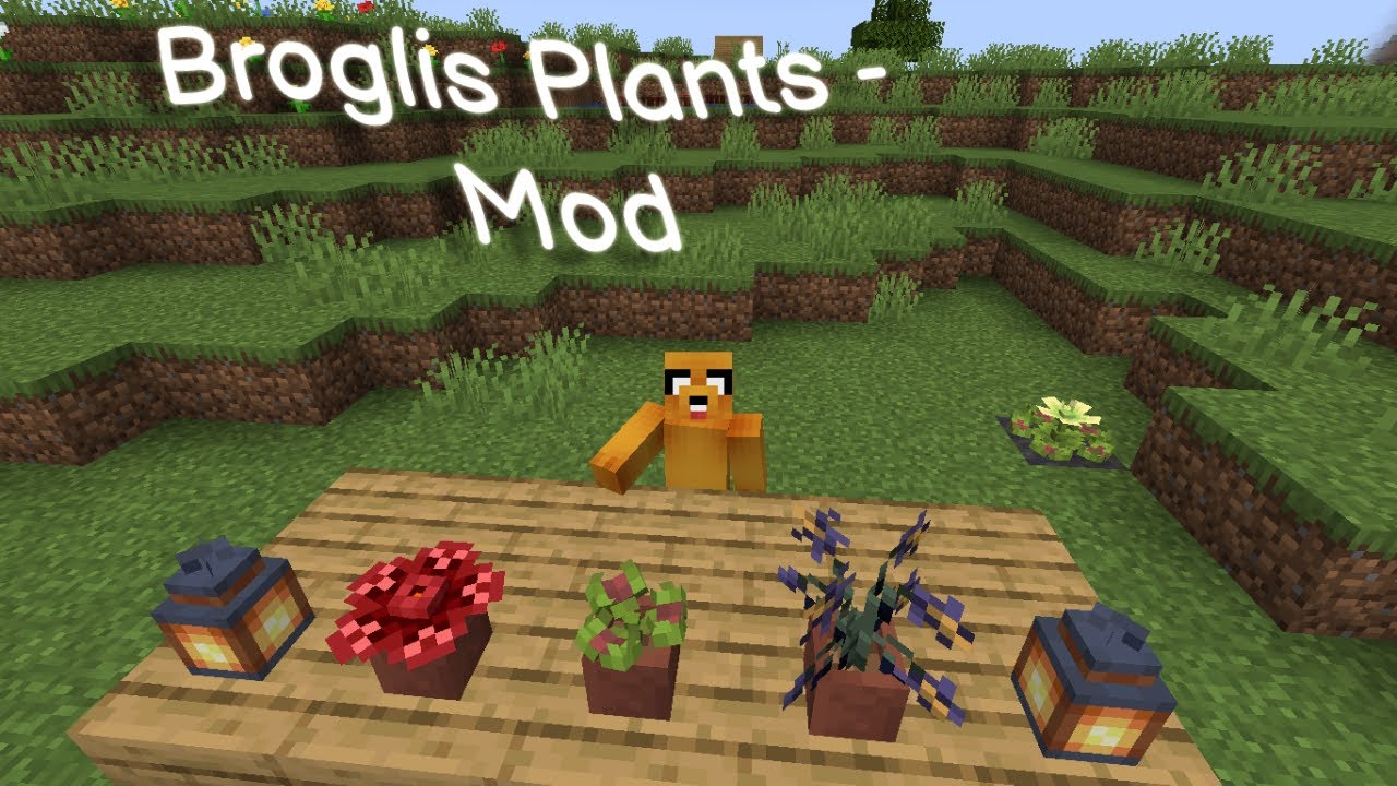 Broglis Plants, o mod das plantas exóticas! - YouTube