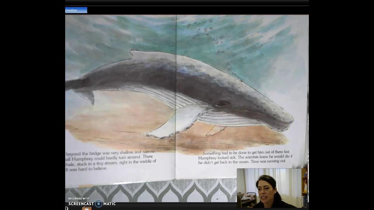 Humphrey the Lost Whale - YouTube