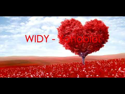 WIDY - Yahabibi