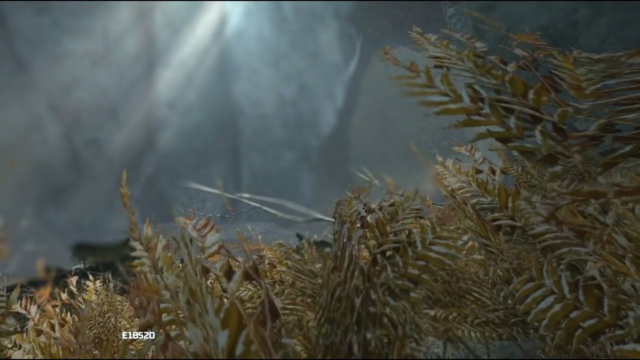 【AC3】 Frontier Cave Ambience - YouTube