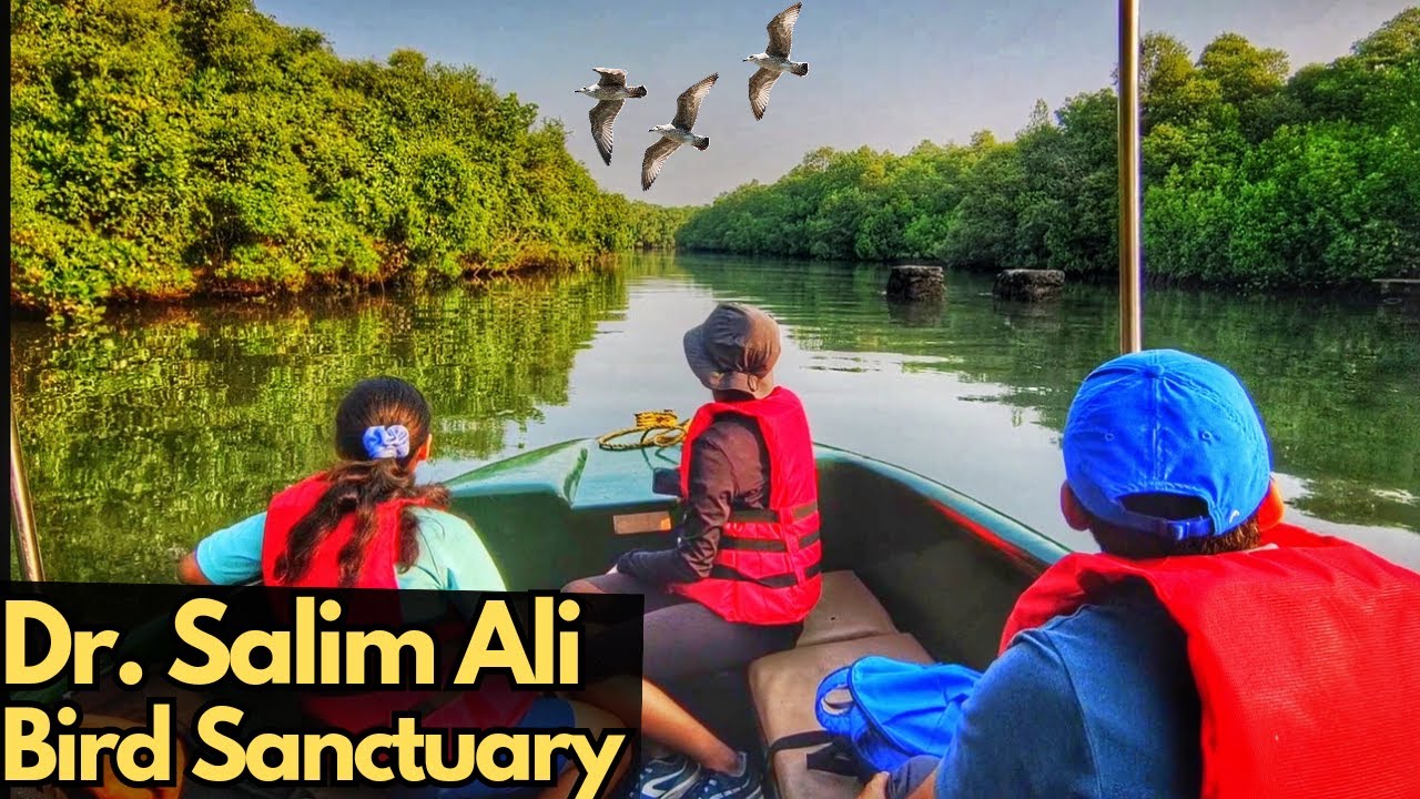 Hidden Gem of North Goa: Dr. Salim Ali Bird Sanctuary | An Offbeat ...