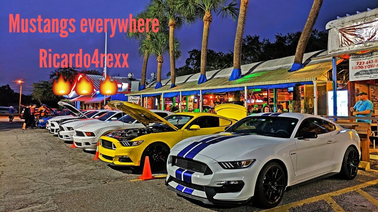 The Biggest Mustang Show In The World!!!🔥🔥🔥 - YouTube