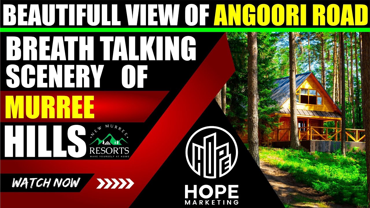 Beautiful View of Angoori Road | Breath Taking Scenery of Murree Hills ...